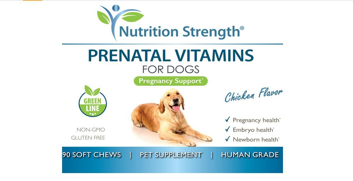 8 Best Supplements For Pregnant Dogs: Essential Nutrients For A Healthy ...