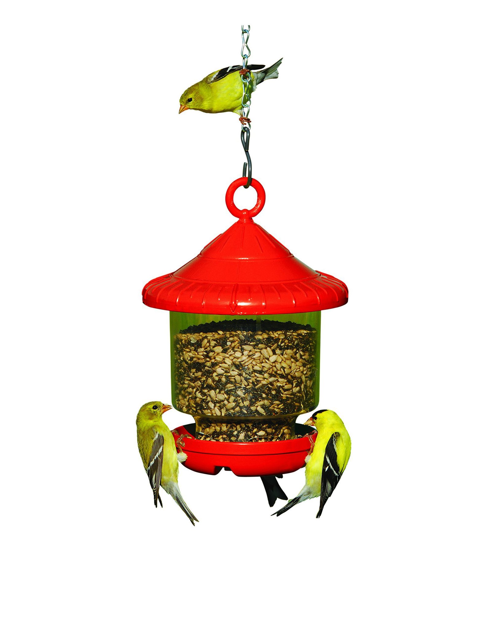 8 Best Bird Feeders For Songbirds: Top Picks For 2025 - Hearts Of Pets