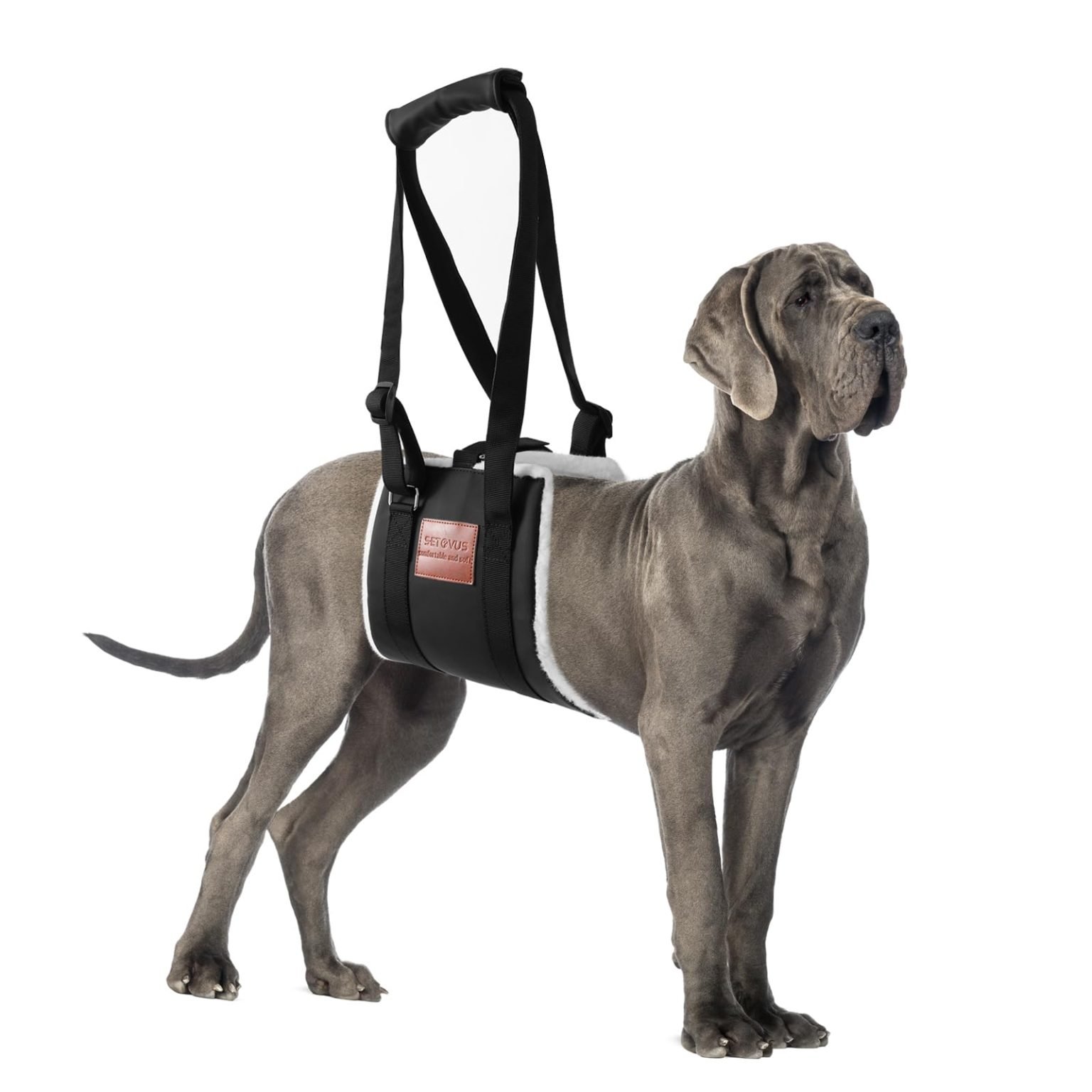 8 Best Emotional Support Dog Harnesses For Comfort And Security ...