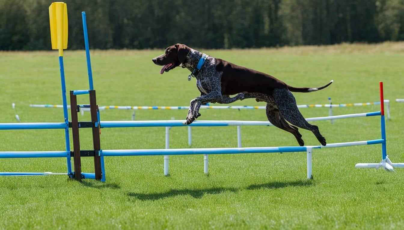 Understanding German Shorthaired Pointer Behavior Issues