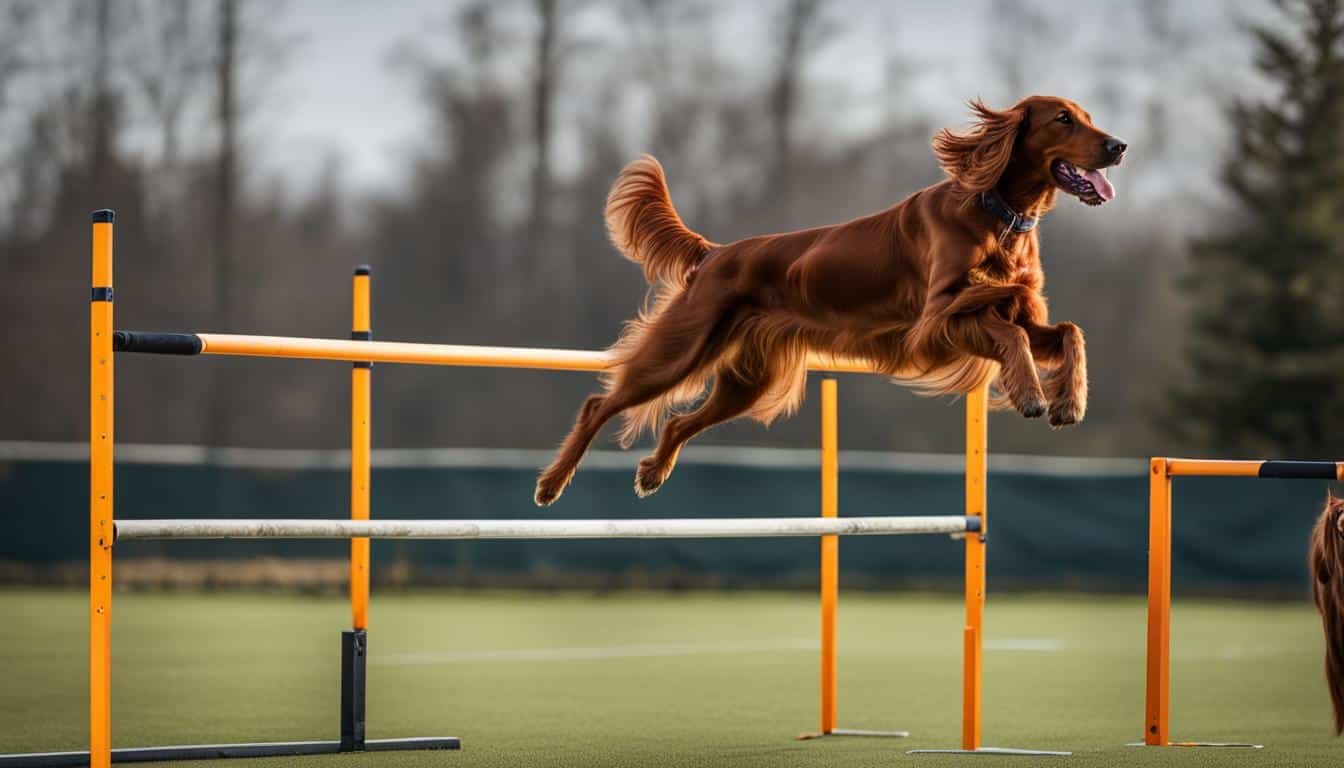 5 Easy Irish Setter Training Tips: Ultimate Guide