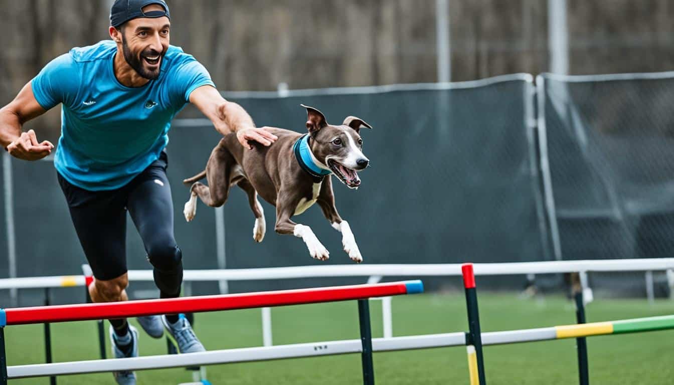 Easy Italian Greyhound Training Tips & Tricks 2024