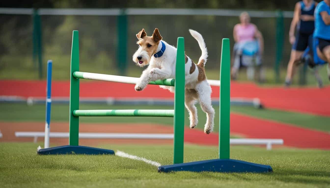 Wire Fox Terrier Training: 5 Essential Benefits Of Obedience Training